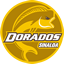 Cimarrones de Sonora FC